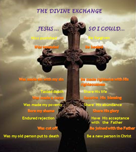 Lyric Living – Finding the lyric in life as we live, love, learn.